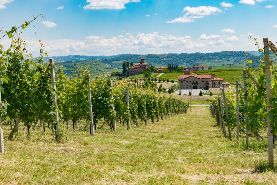 Cosa vedere ad Alba, il cuore delle langhe - A Spasso Con Quei Due